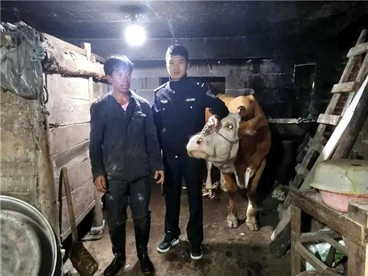 牛被偷了报警有用吗图标