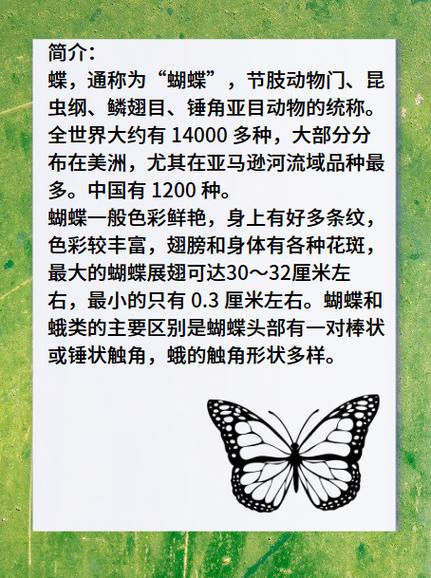 花诺盛开蝴蝶自来,下一句缩略图