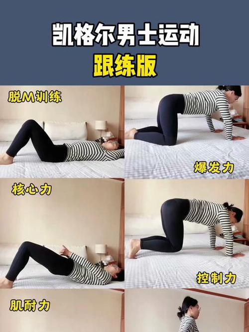 健身锻炼视频教程图标