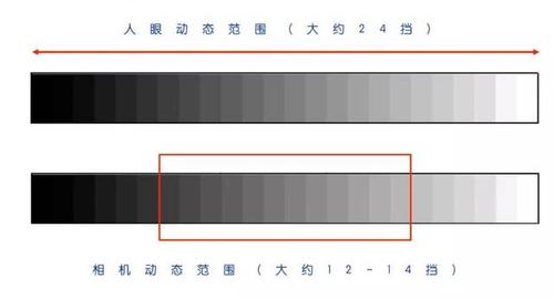 终极版和标准版区别图标