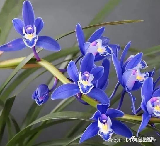 蓝色的特点给人的感受