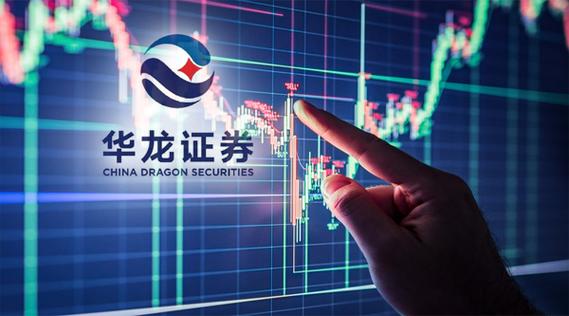 华龙证券公司图标
