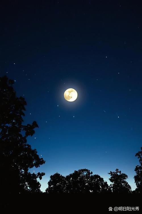 把黑夜踩亮截图