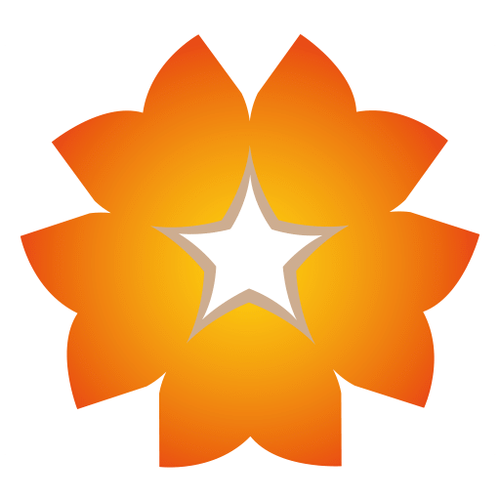星星钱包app下载安装图标