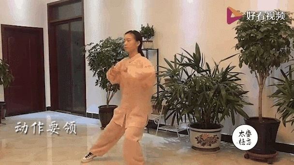 太极八段锦分解教学视频图标