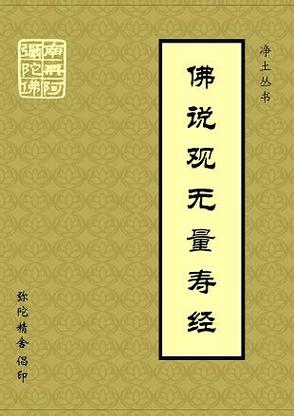 悟性逆天悟观世经截图