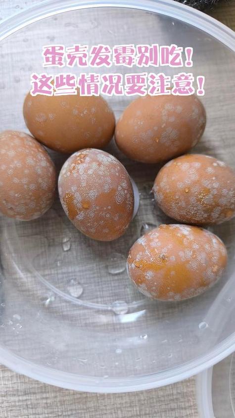 蛋壳发霉的鸡蛋能吃吗?图标