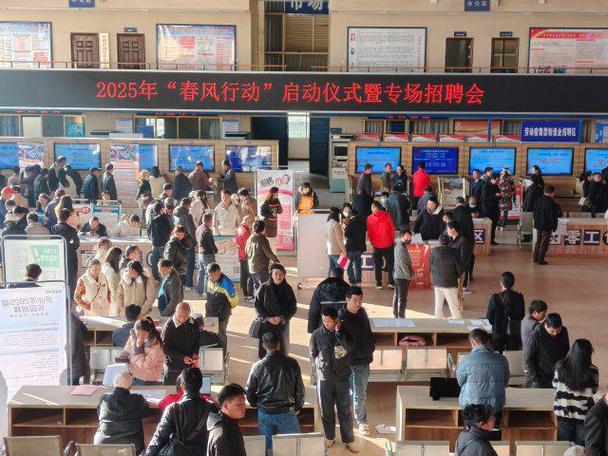 人才市场免费招聘网图标