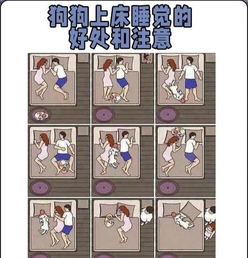 狗狗经常和人一起睡没事吧图标