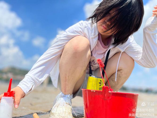 失业后我回老家赶海截图