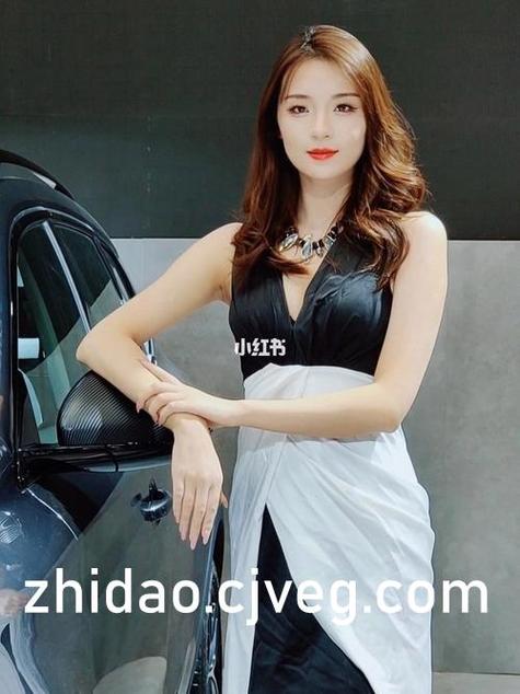 winktv中文网排名图标