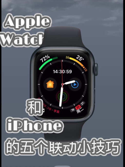 苹果手表能刷脸解锁吗图标