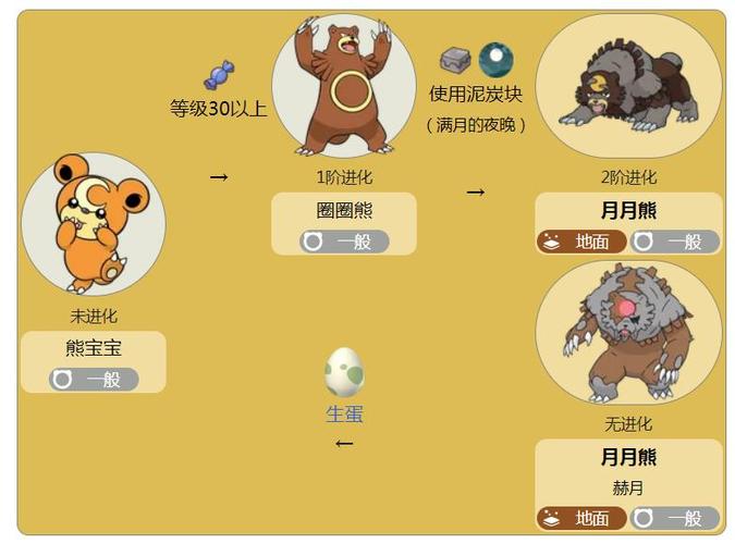 熊宝宝几级进化截图