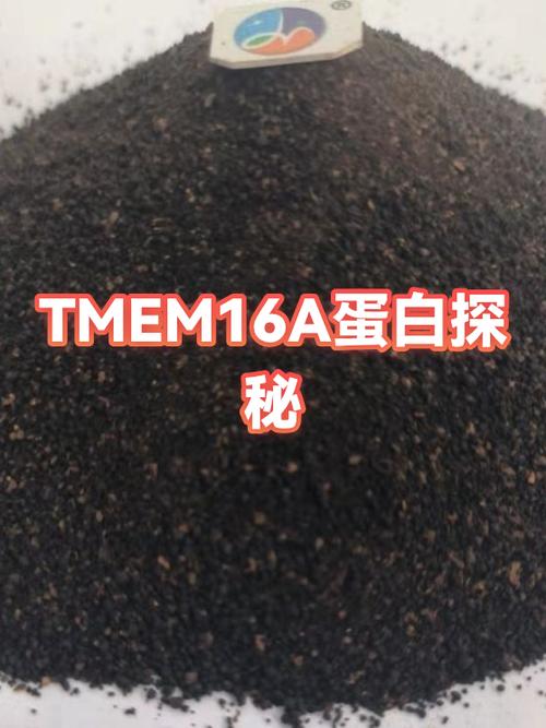抖音叫小蛋白的女生图标