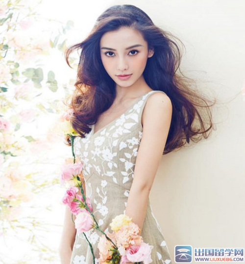 杨颖个人简历图标