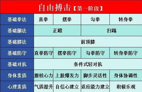 自由搏击教学视频新手入门截图