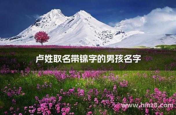 和锦字搭配的男孩名字大全图标