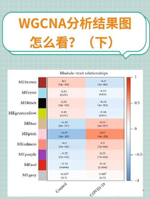 wgl是什么意思
