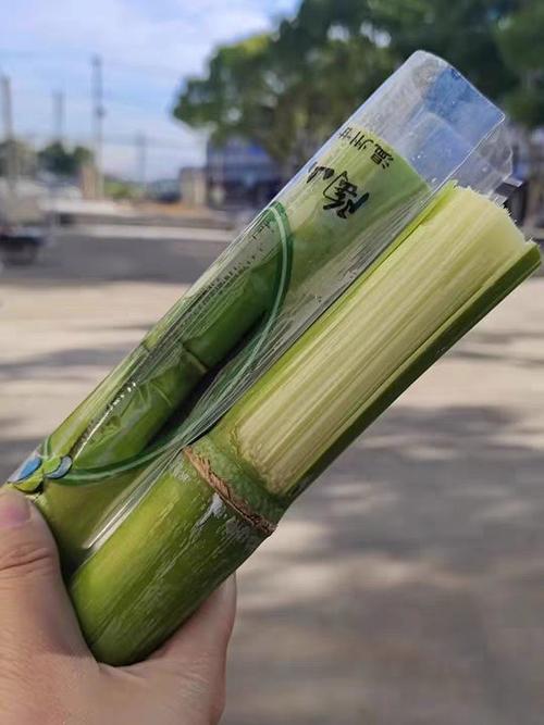 水果甘蔗种植全过程图标