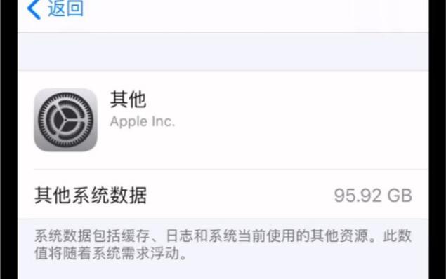 苹果中的其他系统数据怎么清理图标