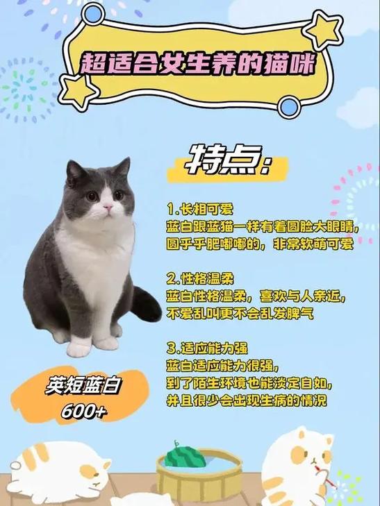 新手怎么养猫截图