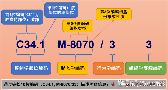 心血管icd编码