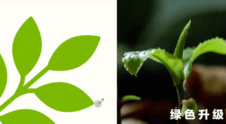 小树叶是什么品牌图标