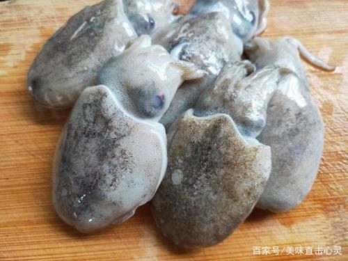 墨鱼如何处理干净图标