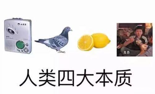 人类本质截图