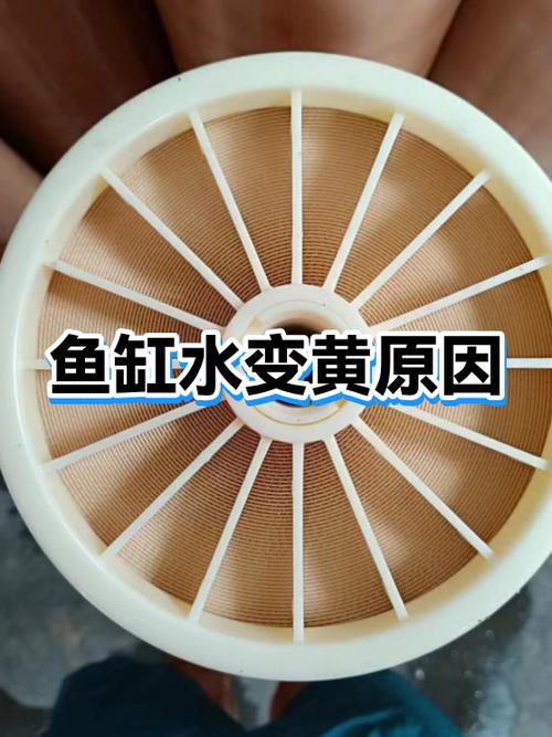 鱼缸水黄但清澈是怎么回事图标