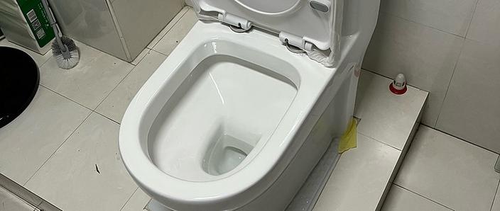 蹲便器改马桶最佳方法图标