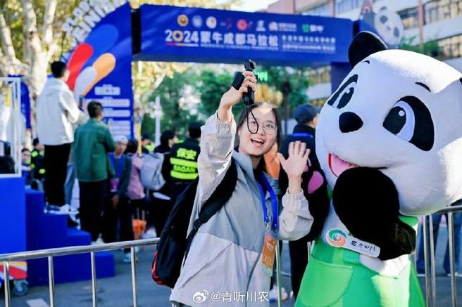 熊猫出没平台是封了吗截图