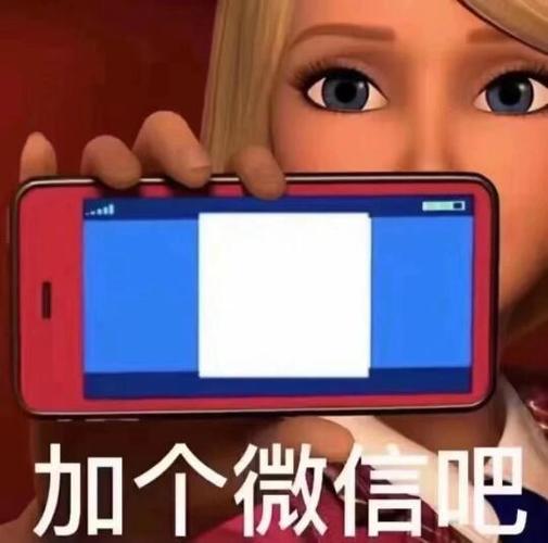 加个vx的表情包截图