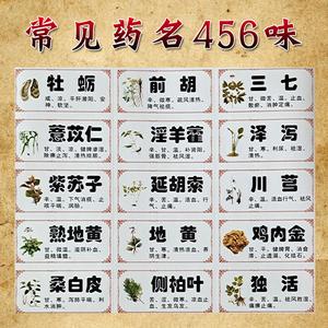 有个药叫什么丁片的药图标
