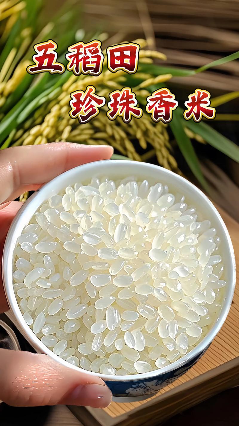 小米粒大好还是粒小好?图标