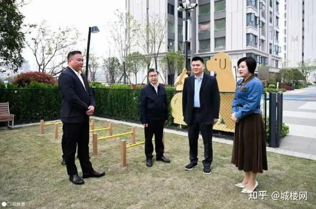 王宏一最近有啥新项目截图