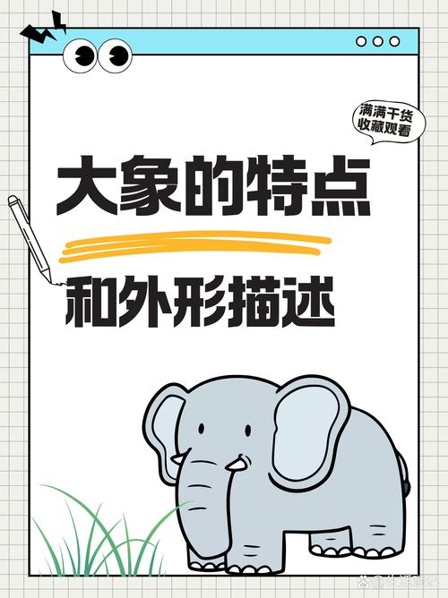 大象聊天软件图标
