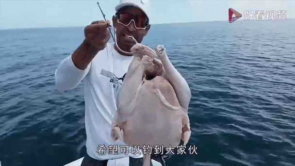 熟鸡肉钓鱼截图