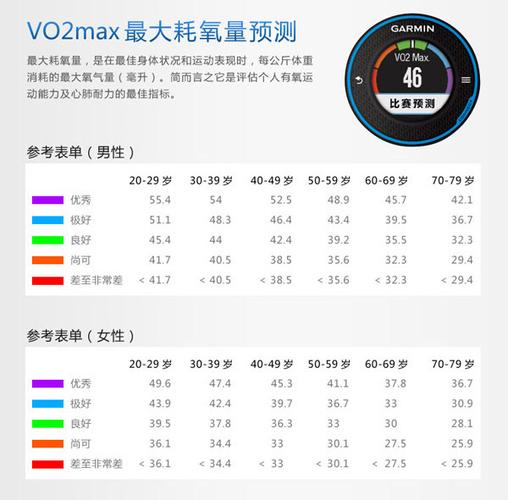 小米穿戴最大摄氧量没数据图标