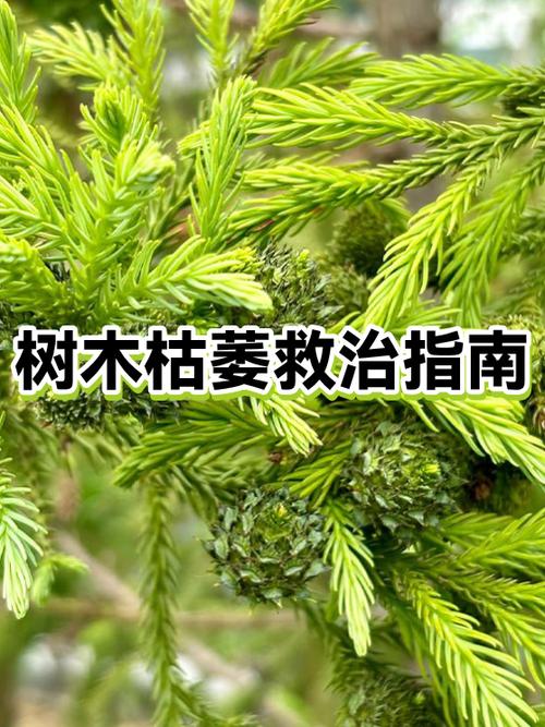 如何让树木枯萎图标