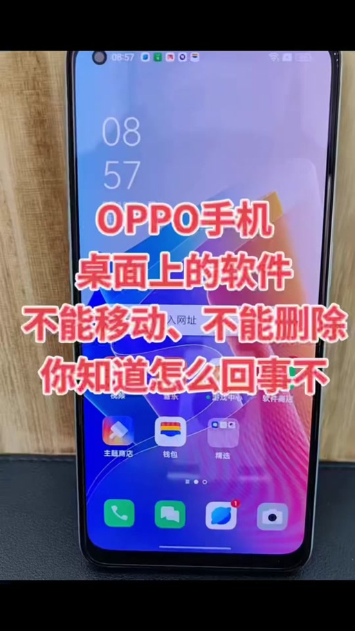 oppo手机滑动不了屏幕怎么办图标
