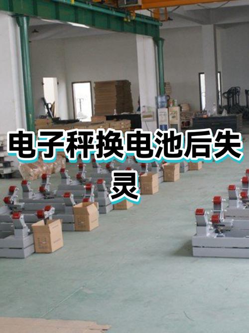 为什么电子秤换了电池就不能用了图标