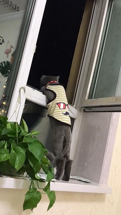 趴在窗户向外看的图片图标