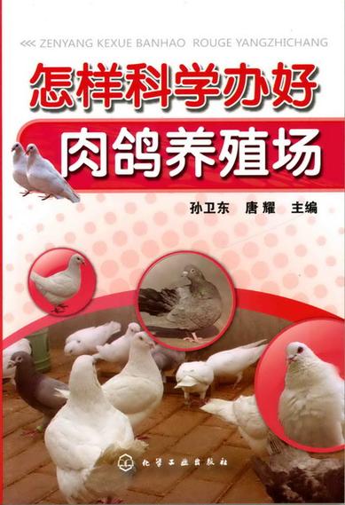 肉鸽养殖成本与利润图标