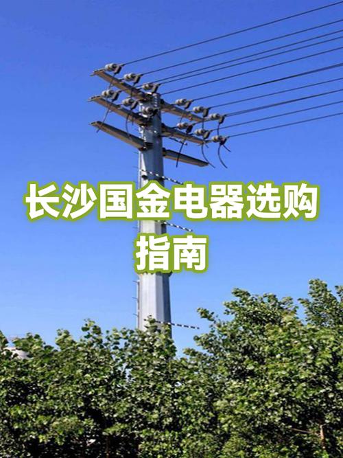 国金是什么意思图标