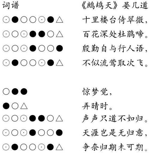 宋词的词牌格律平仄截图