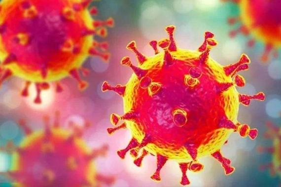 Corona Virus Disease 2019截图