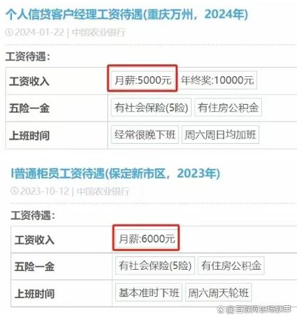新点软件工资待遇
