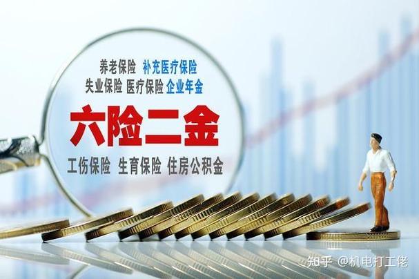 什么是企业两金图标