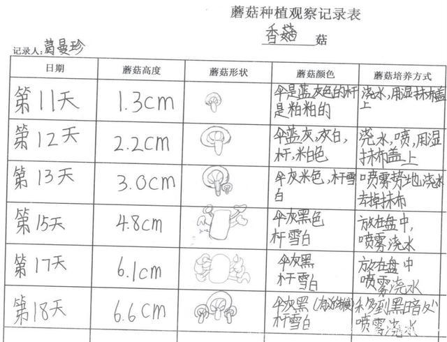 怎么种蘑菇